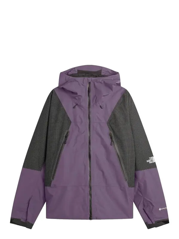 The North Face Spectra Gore-tex Mountain Light Jacket - Endless Dusk