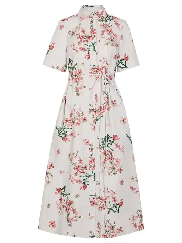 Erdem Floral-print Cotton-poplin Midi Shirt Dress - Multicoloured