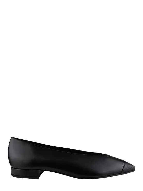 Loro Piana Rebecca Ballerinas In Leather And Lizard - Black