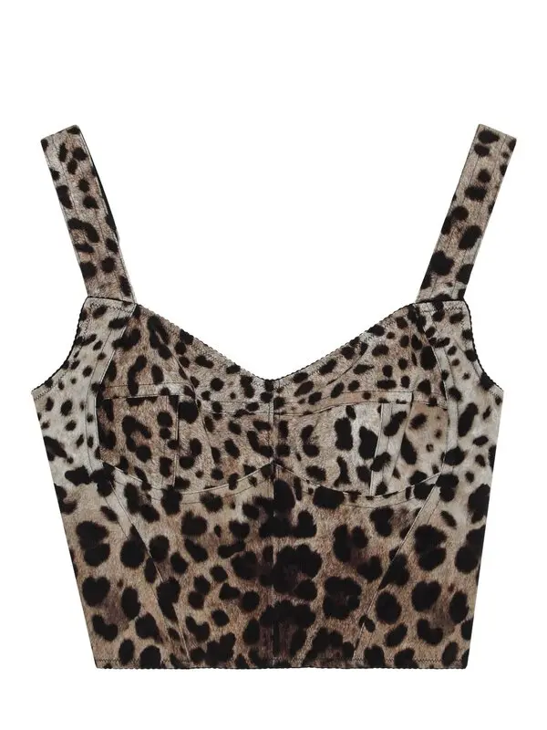 Dolce & Gabbana Leopard-print Bustier - Multicolor