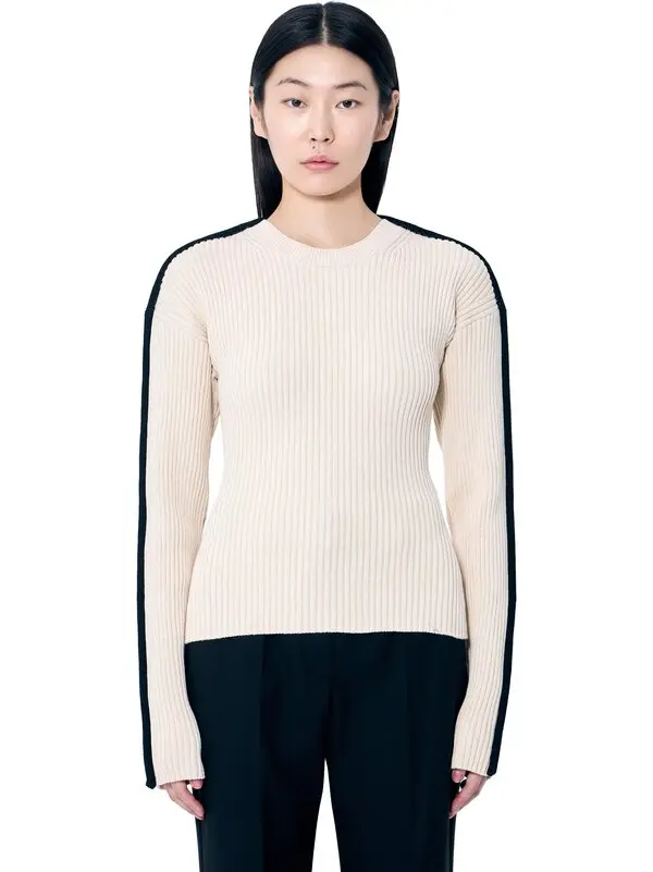 Sportmax Ribbed Fitted Crewneck Sweater With Contrast Stripe Detail - Multicolor