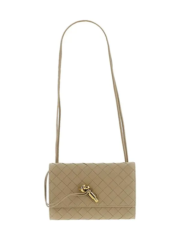 Bottega Veneta Andiamo Crossbody Pouch - Multicolor