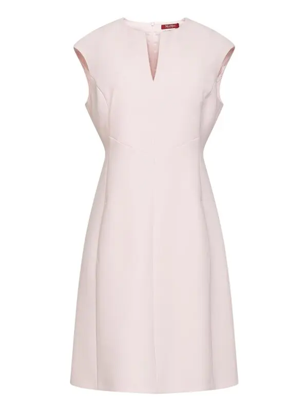Max Mara Pink Cady Princess-line Dress - Multicolor