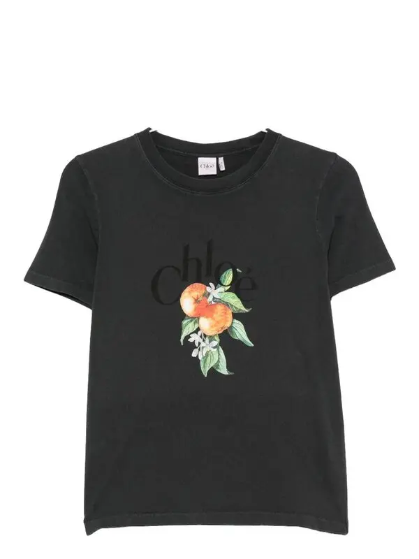 Chloé Printed Cotton T-shirt - Multicolor