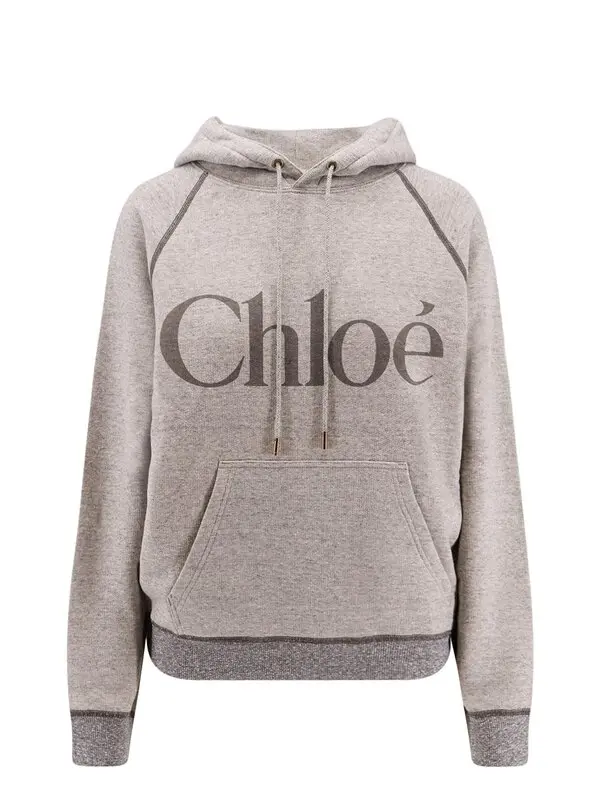 Chloé Cotton Blend Hooded Sweatshirt With Logo Print - Multicolor