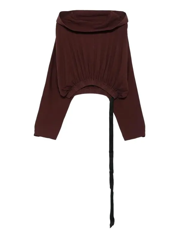 Rick Owens Hooded Sweatshirt - Brown