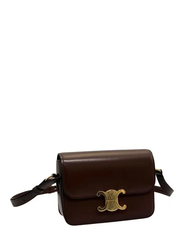Celine Triomphe Leather Crossbody Bag - Multicolor