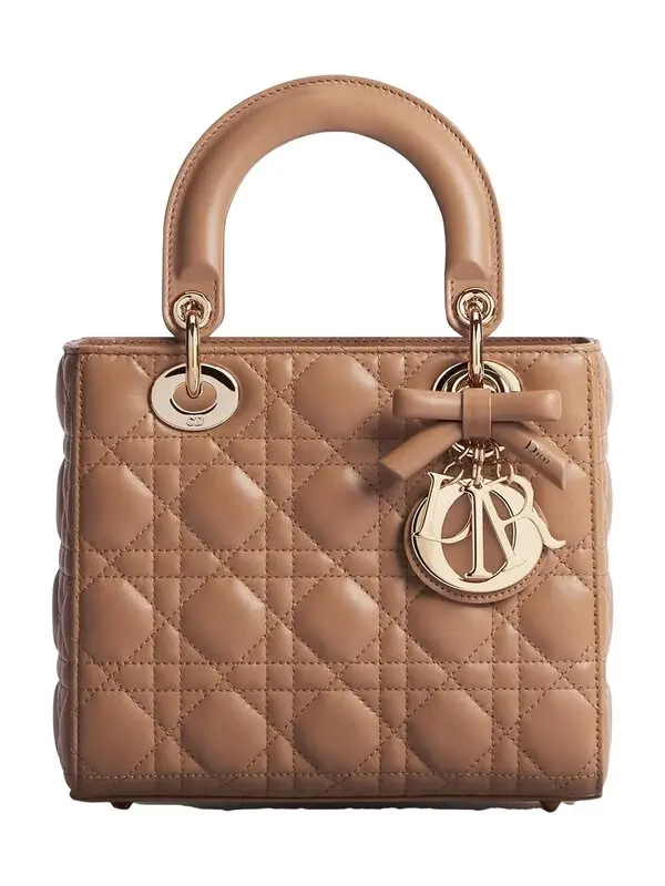 Dior Small Lady Bag With Strap - Brown