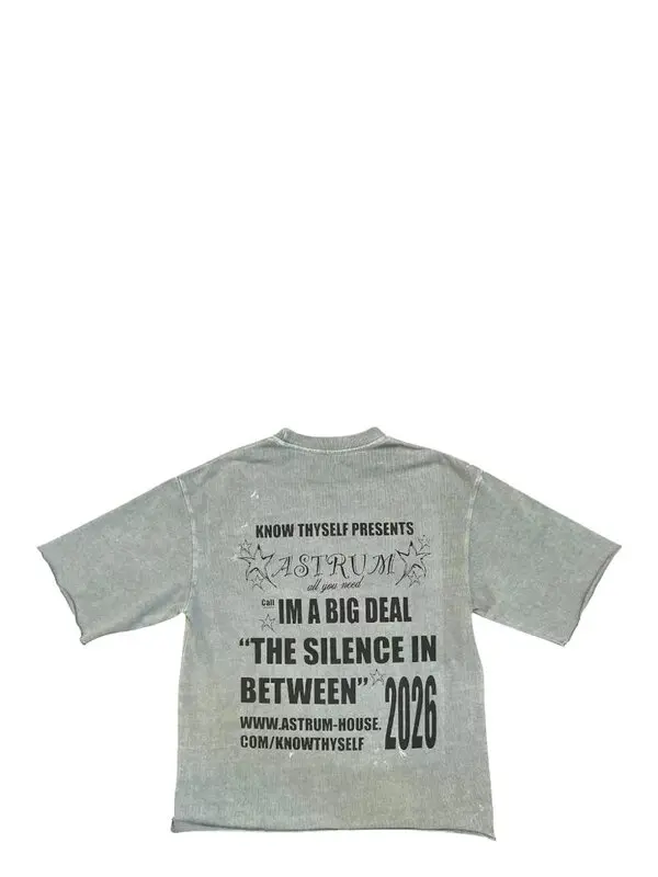 Astrum Graphic-print Distressed T-shirt - Grey