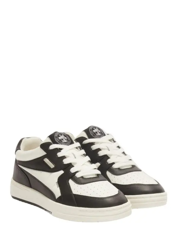 Palm Angels Two-tone University Low-top Sneakers - White