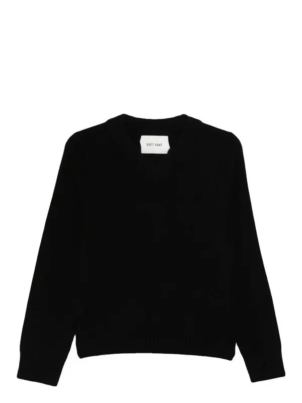 Soft Goat Long-sleeve V-neck Sweater - Black