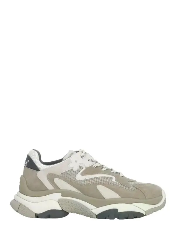 Ash Addict Panelled Sneakers - Neutrals