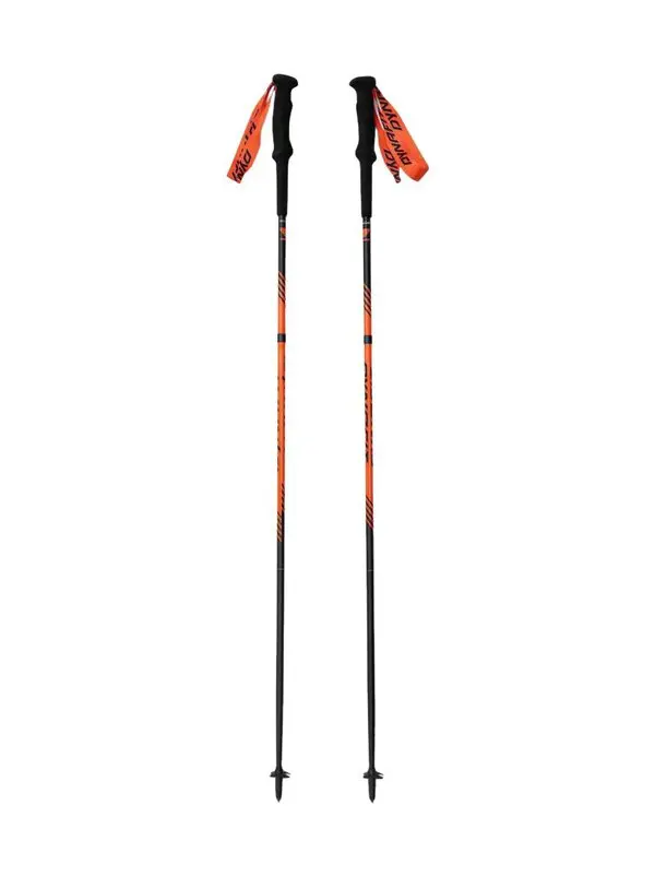 DYNAFIT Foldable Trekking Poles - Black