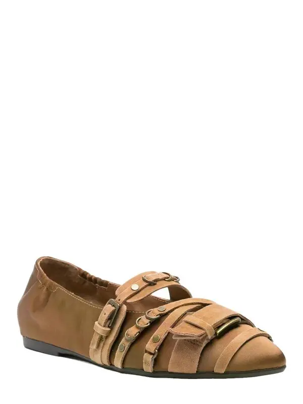 Ash Buckled Pointed-toe Ballet Flats - Brown