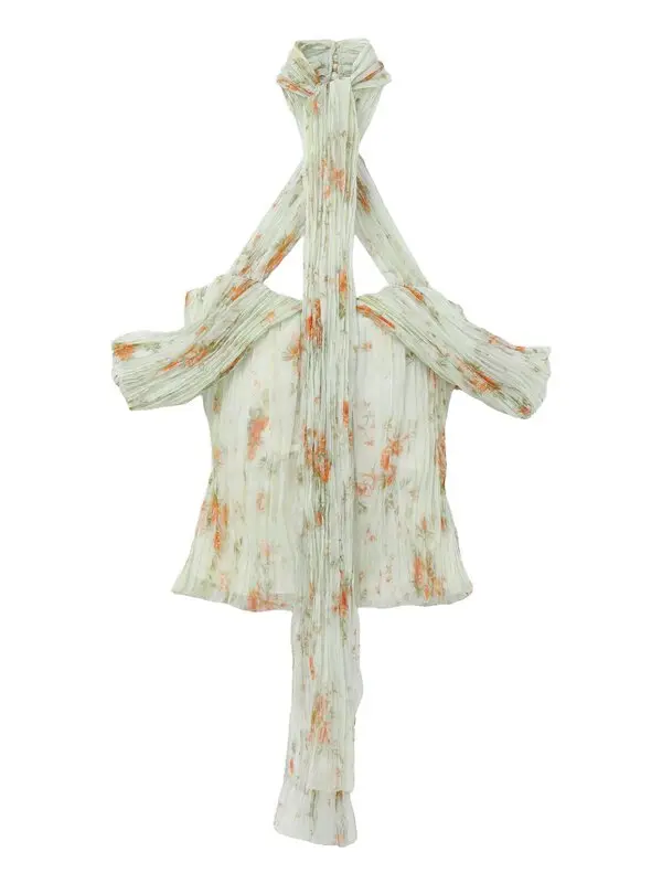 Alexander McQueen Floral Pleated Off-the-shoulder Chiffon Top - Stone/light Orange