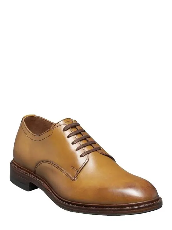 Allen Edmonds Trevor Plain-toe Derby Shoe - Walnut Leather
