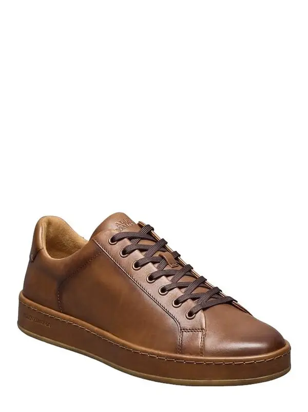 Allen Edmonds Barnes Lace-up Leather Sneakers - Coffee Leather
