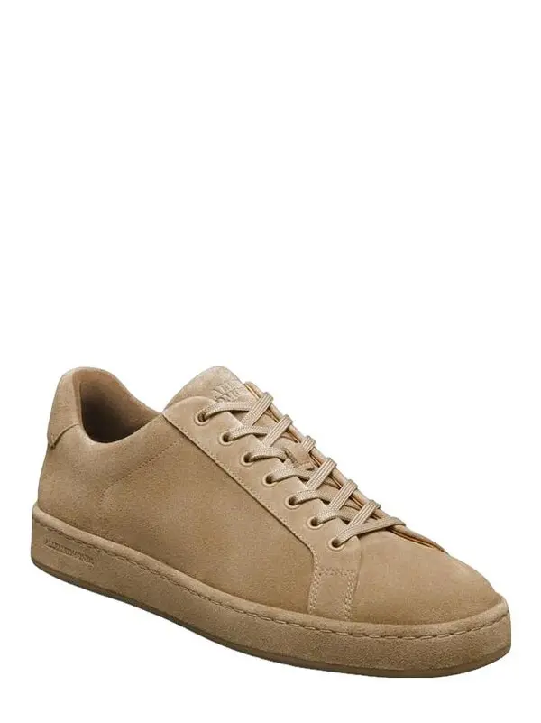 Allen Edmonds Barnes Lace-up Sneaker - Bone Suede