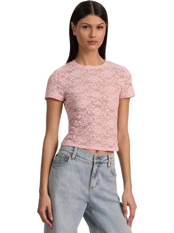 Alice + Olivia Tess Printed Mesh Cropped T-shirt - English Rose