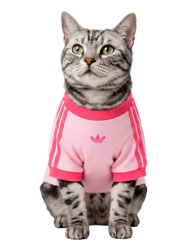 Adidas Originals Pet Cali Tee - Clear Pink / Real Pink
