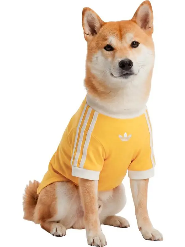 Adidas Originals Pet Cali Tee - Bold Gold / Off White