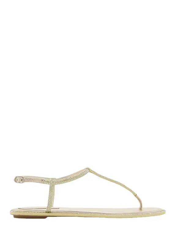 Rene Caovilla Diana Crystal-embellished Leather Thong Sandals - Nude