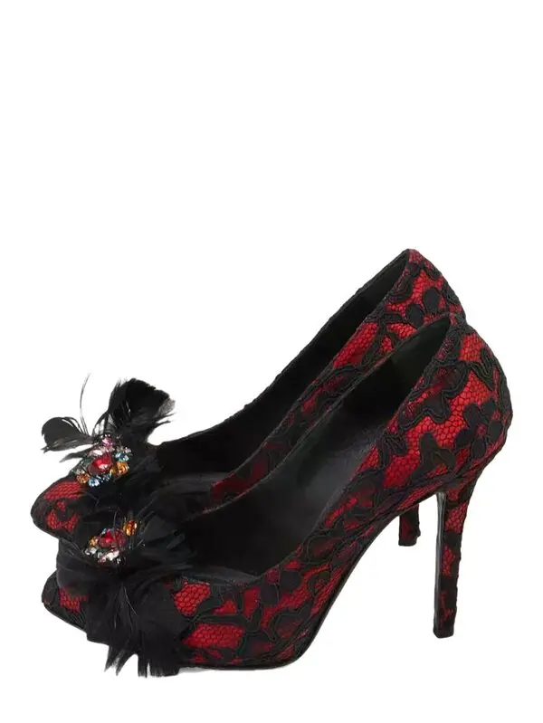 Dolce & Gabbana Feather Crystal Embellished Lace Pumps - Red