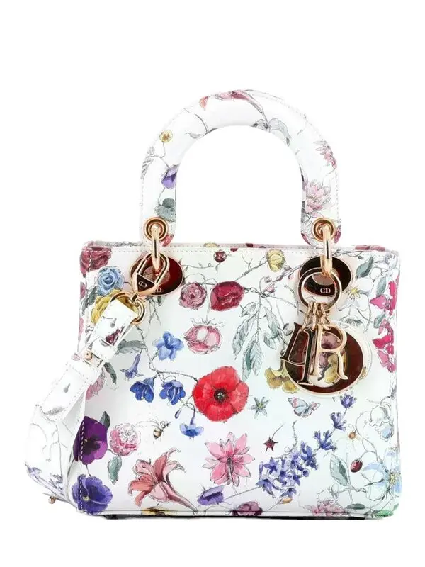 Dior Lady Bag - Multicolour