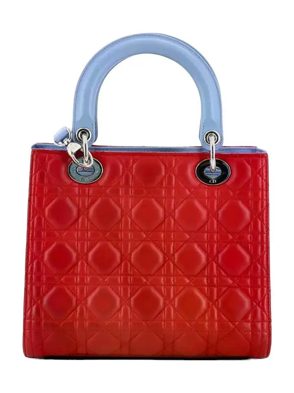 Dior Lady Satchel Bag - Multicolour