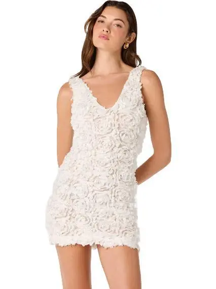 Astr The Label Magali 3d Floral Applique Mini Dress - White