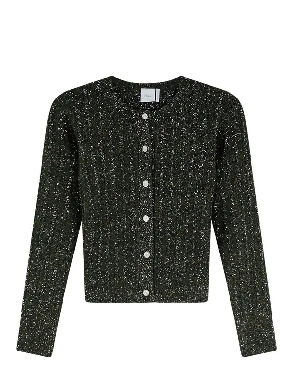 Dior Virgin Wool And Cashmere Blend Tweed Blazer - Multicolor