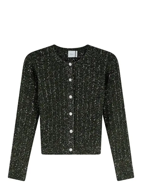 Dior Virgin Wool And Cashmere Blend Tweed Blazer - Multicolor