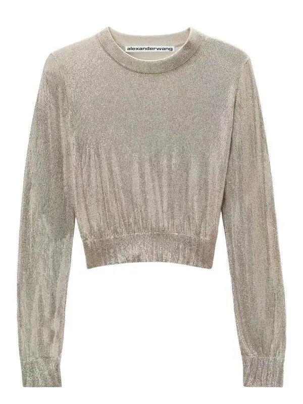 Alexander Wang Embellished Crewneck Long Sleeve Crop Top - Silver