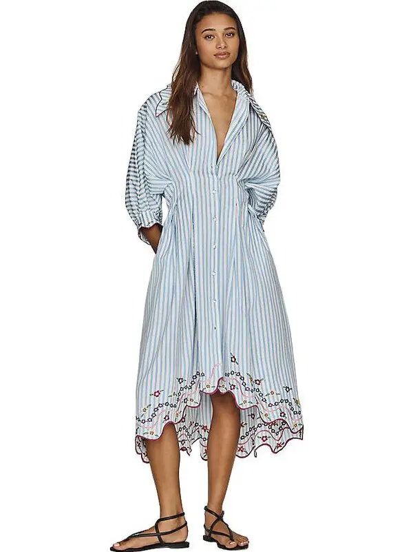 Celiab Caju Striped Shirt Dress With Embroidered Collar And Hem - Blue Stripes
