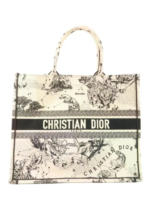 Dior Book Tote Bag - Neutrals