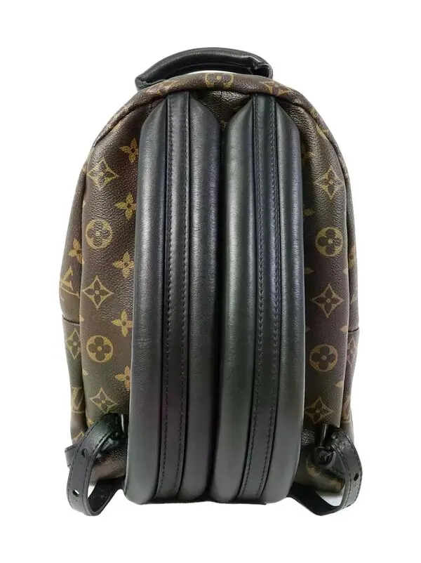 LOUIS VUITTON Palm Springs Backpack - Brown