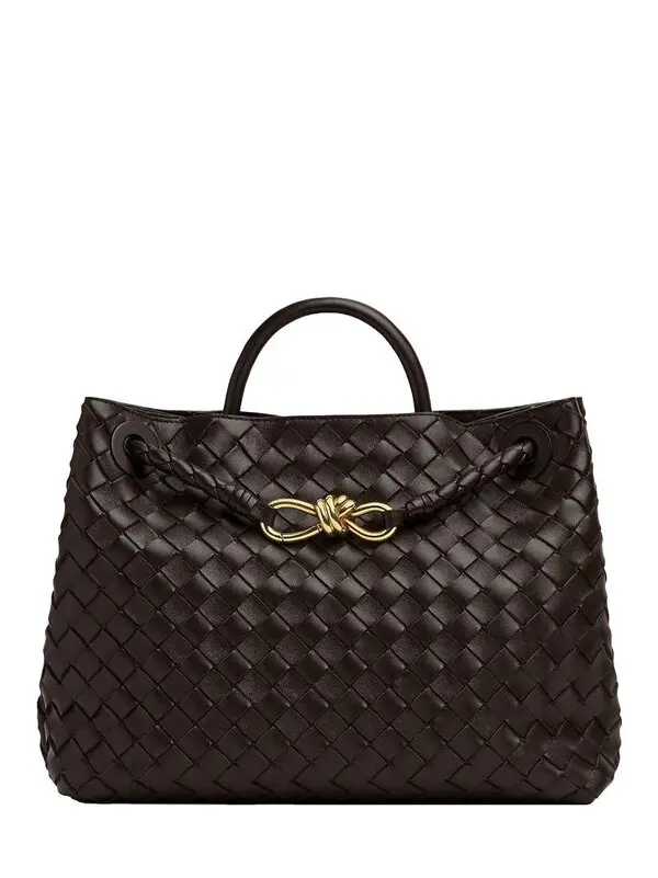 Bottega Veneta Medium Andiamo Bag - Brown