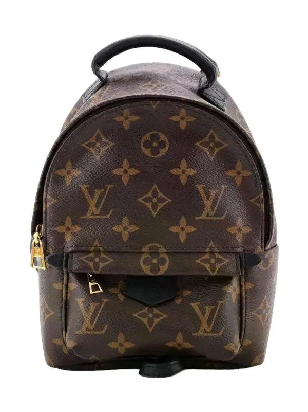 LOUIS VUITTON Palm Springs Mini Backpack - Brown