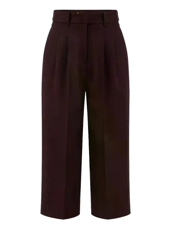 Elisabetta Franchi Pleated Wide-leg Trousers - Brown