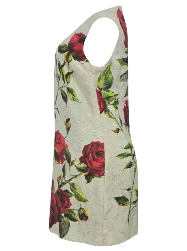 Dolce & Gabbana Rose-print Sleeveless Round Neck Dress - Neutrals
