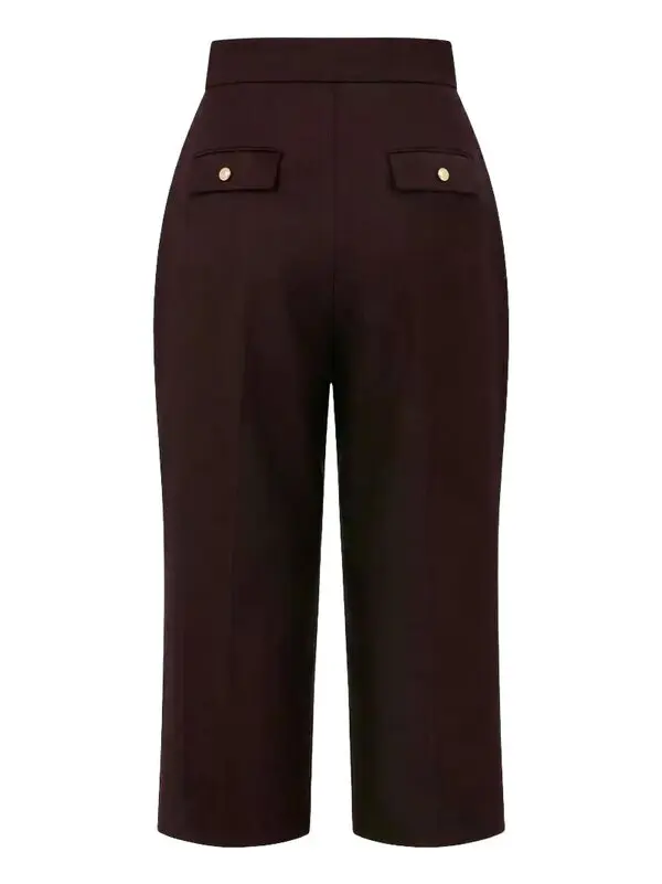 Elisabetta Franchi Pleated Wide-leg Trousers - Brown