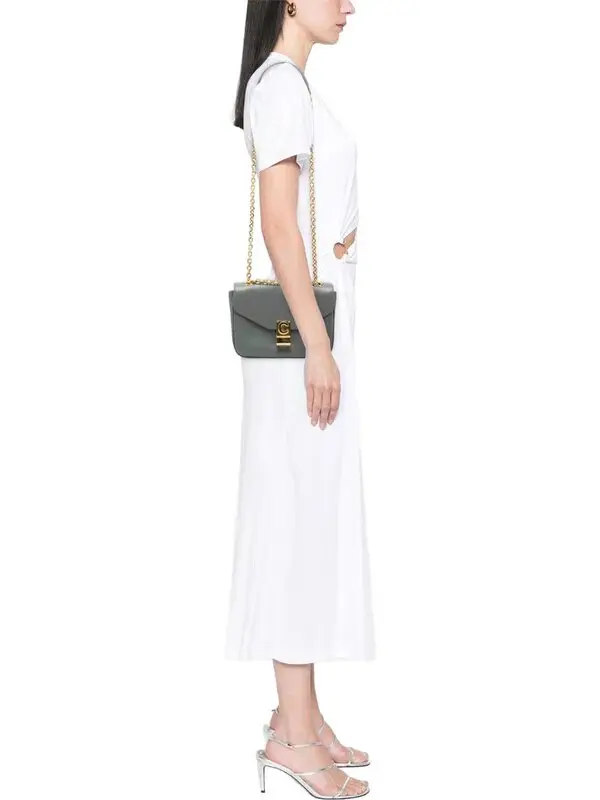 Celine Medium Calfskin C Crossbody Bag - Grey