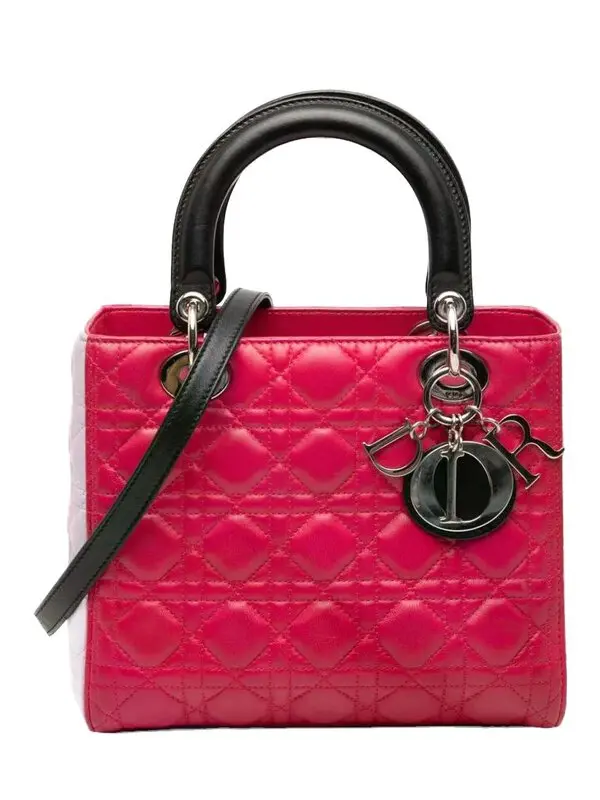 Dior Lady Satchel - Pink
