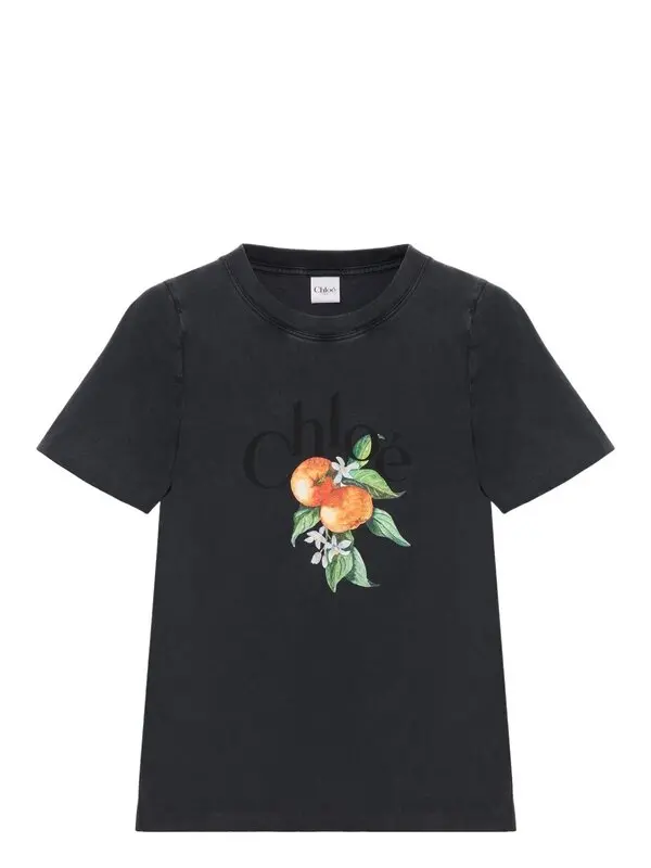 Chloé Short Sleeve T-shirt With Fruit Motif - Gray-black