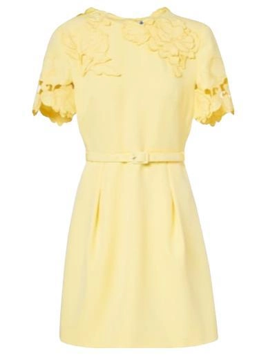 LEO Lin Aurelie Belted Floral-appliqué Mini Dress - Nude