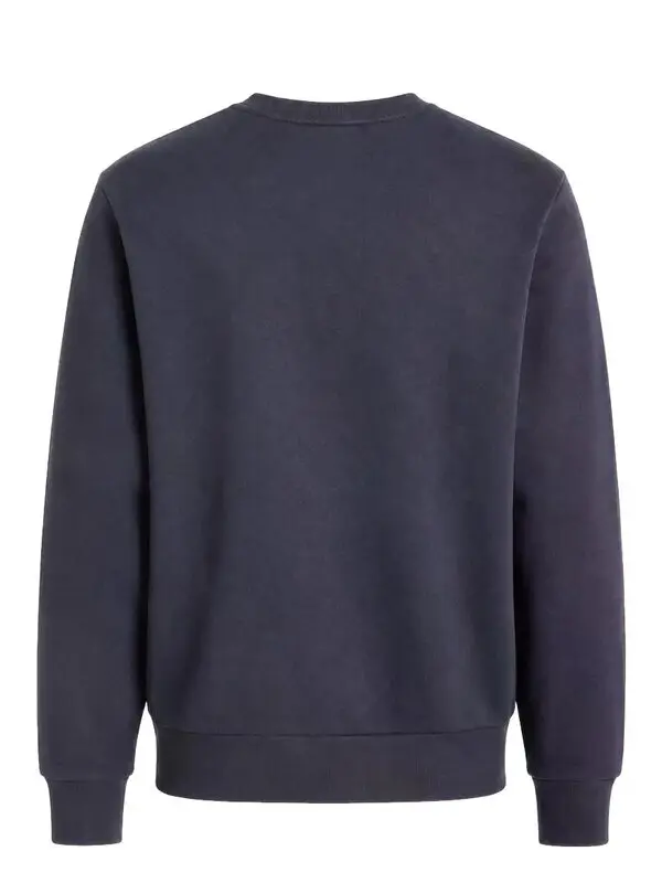 Lacoste Colour-block Crew Neck Sweater - Blue