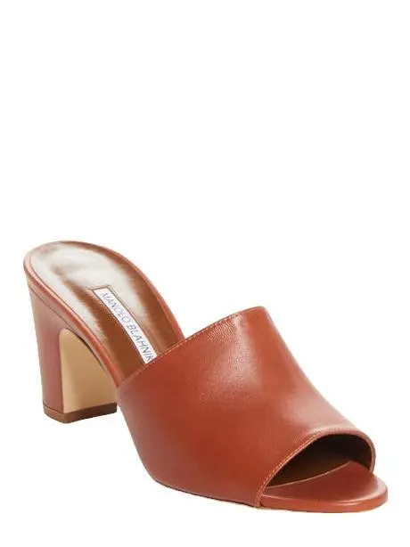Manolo Blahnik Calfskin Block Heel Slide Sandals - Brown