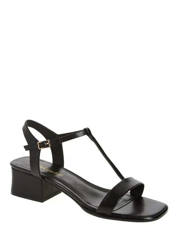 Jeffrey Campbell Austere Ankle Strap Block Heel Sandal - Black