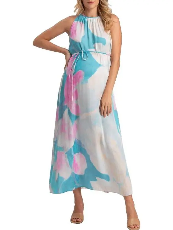 PIETRO BRUNELLI Francesca Floral Maternity Maxi Dress - Blue