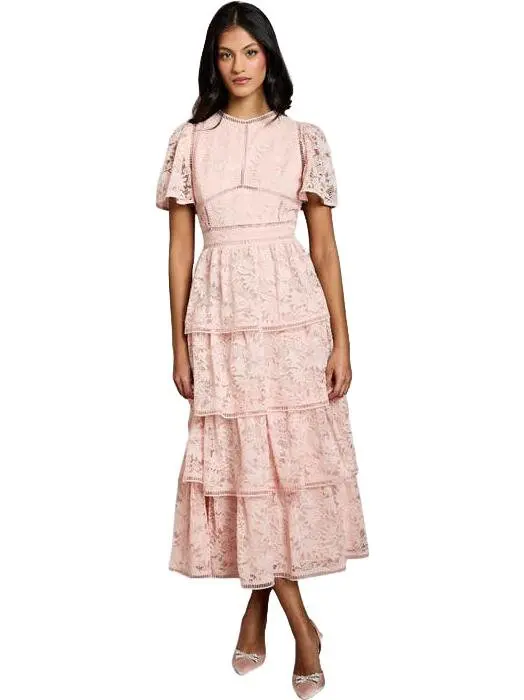 Coast Petite Lace Tiered Midi Dress - Blush